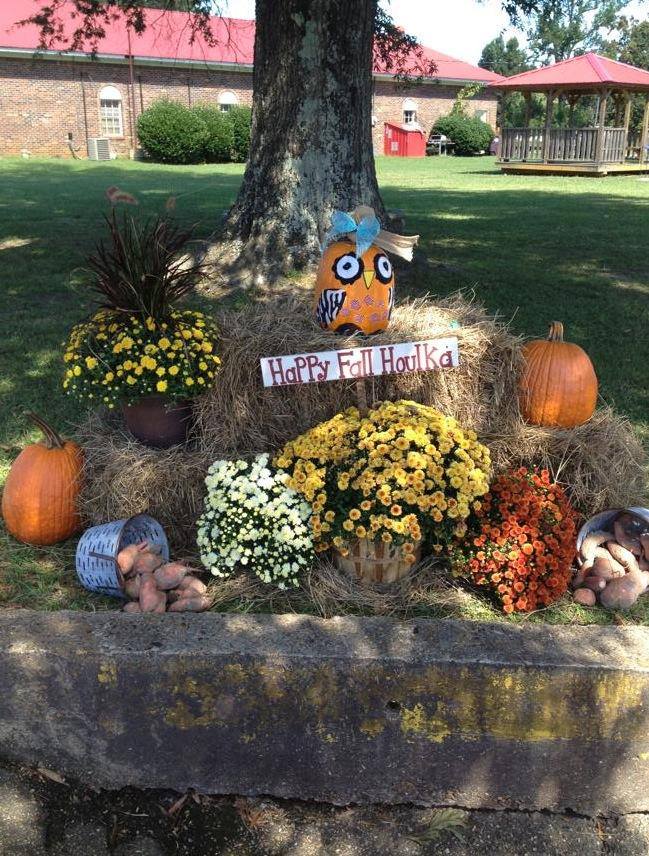 Home | Tanglefoot Trail®